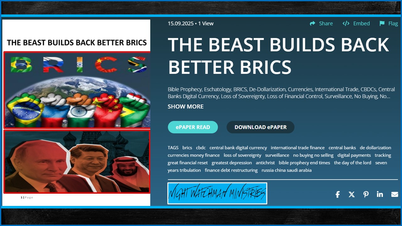 THE BEAST BUILDS BACK BETTER BRICS - The Night Watchman